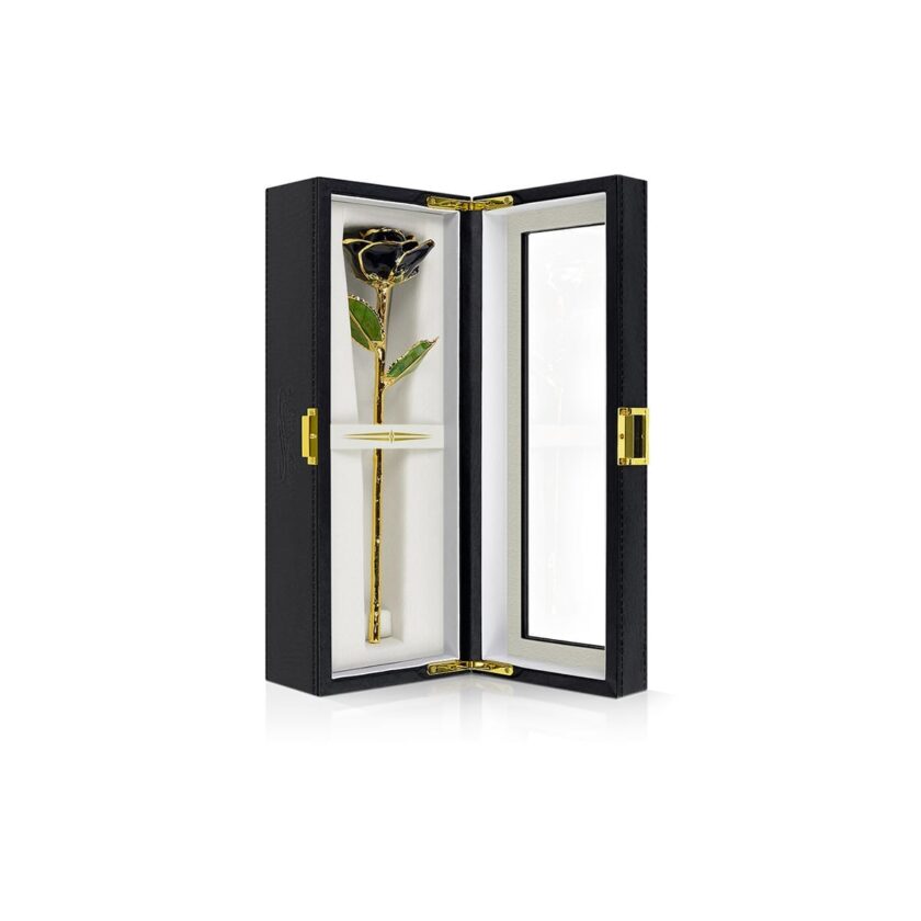 Black Rose Gift with Premium Display Case - Infinity Rose