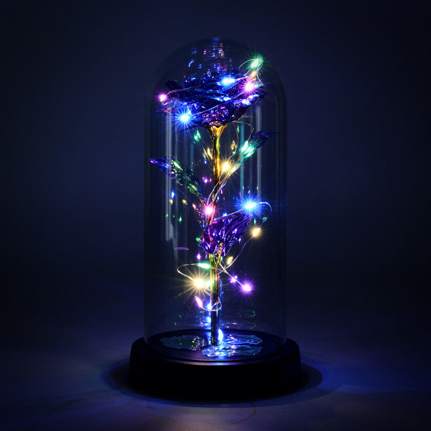 Purple LED Galaxy Infinity Rose with Dome - Infinity Rose